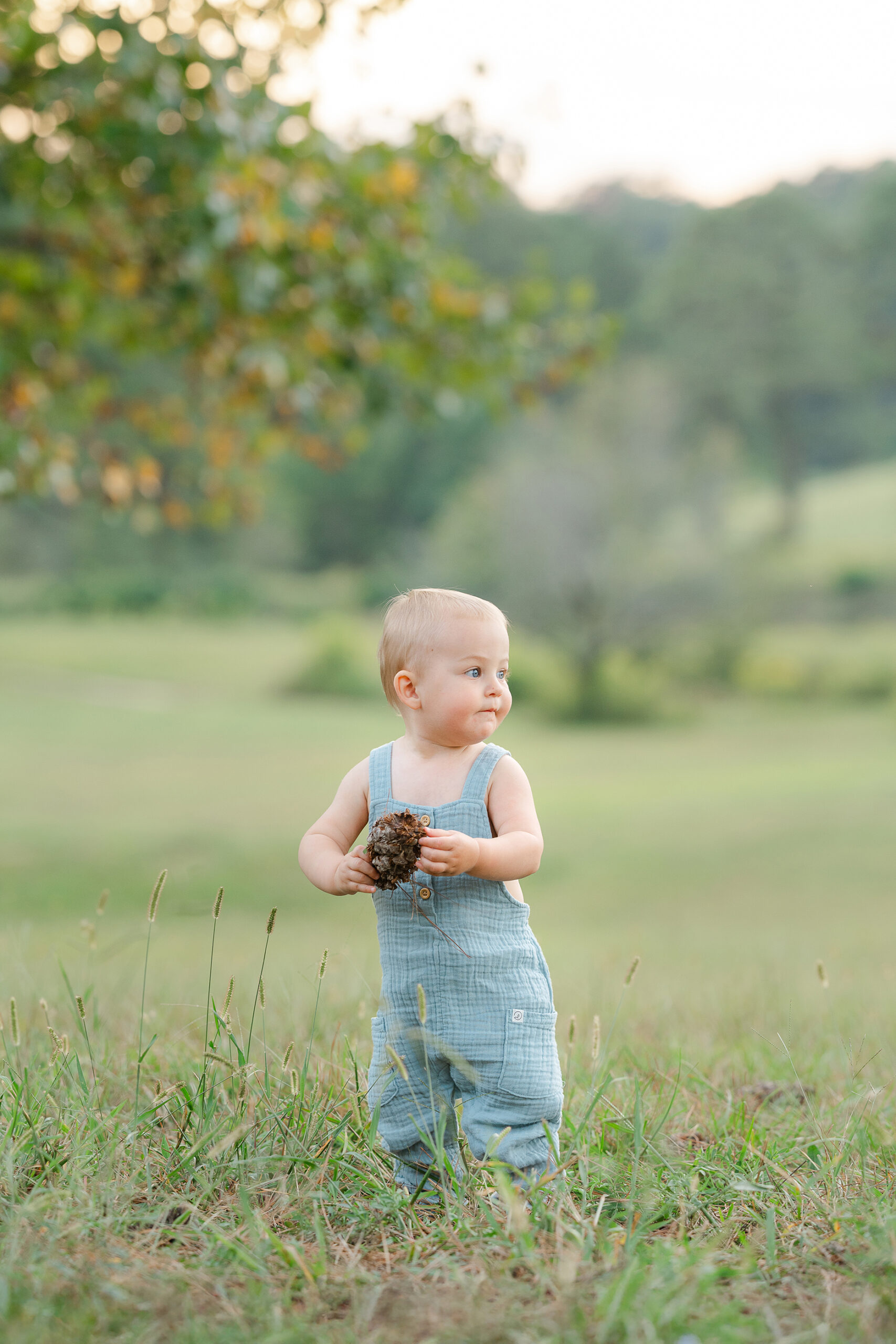 Birmingham Alabama Fall Family Photos - lauracardanphoto.com
